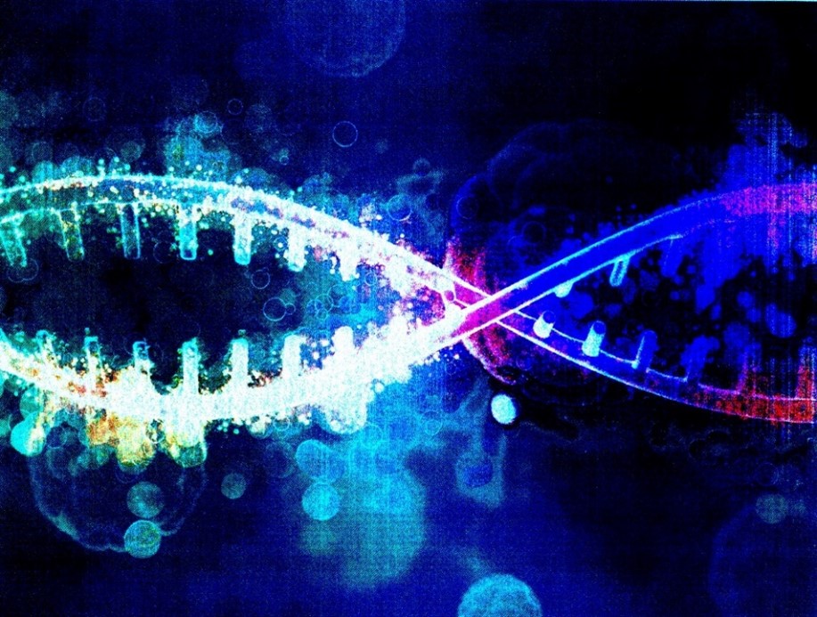 BioNTech SE, Deutschlands Hoffnung auf Größe? | Retail Investor